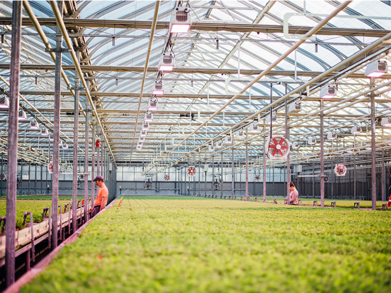 Why Invest in Heliospectra AB - Heliospectra