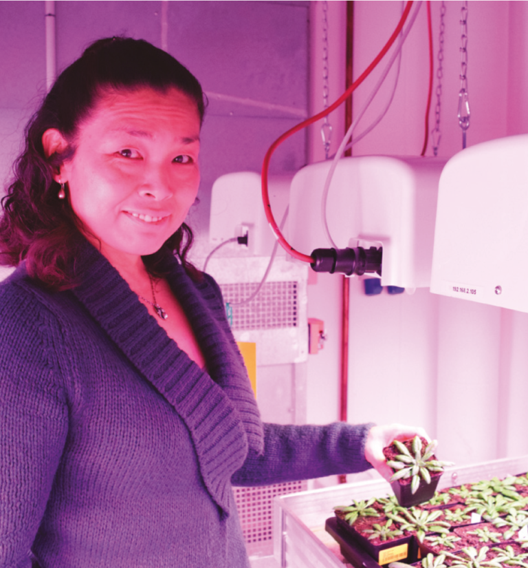 Impact of Dynamic Light - Heliospectra