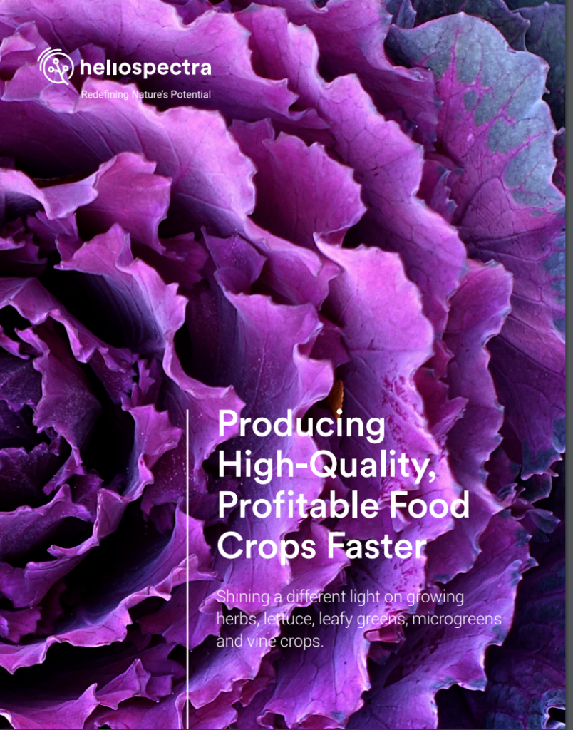 Producing High-Quality, Profitable Food Crops Faster - Heliospectra