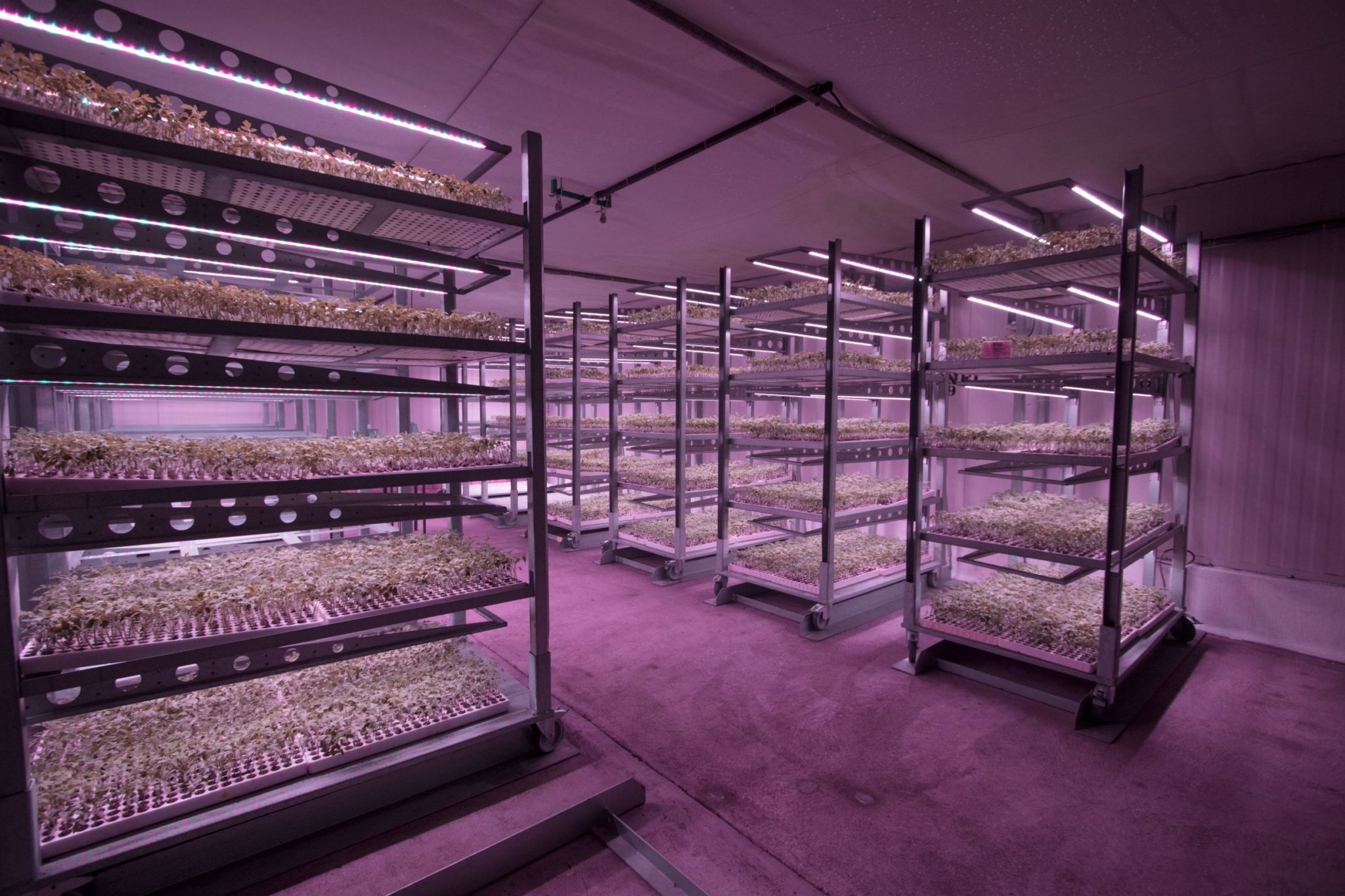 Case studies - Heliospectra