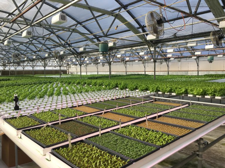 Case studies - Heliospectra