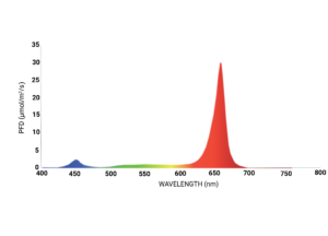 MITRA X Flex - Heliospectra