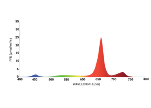MITRA X Flex - Heliospectra