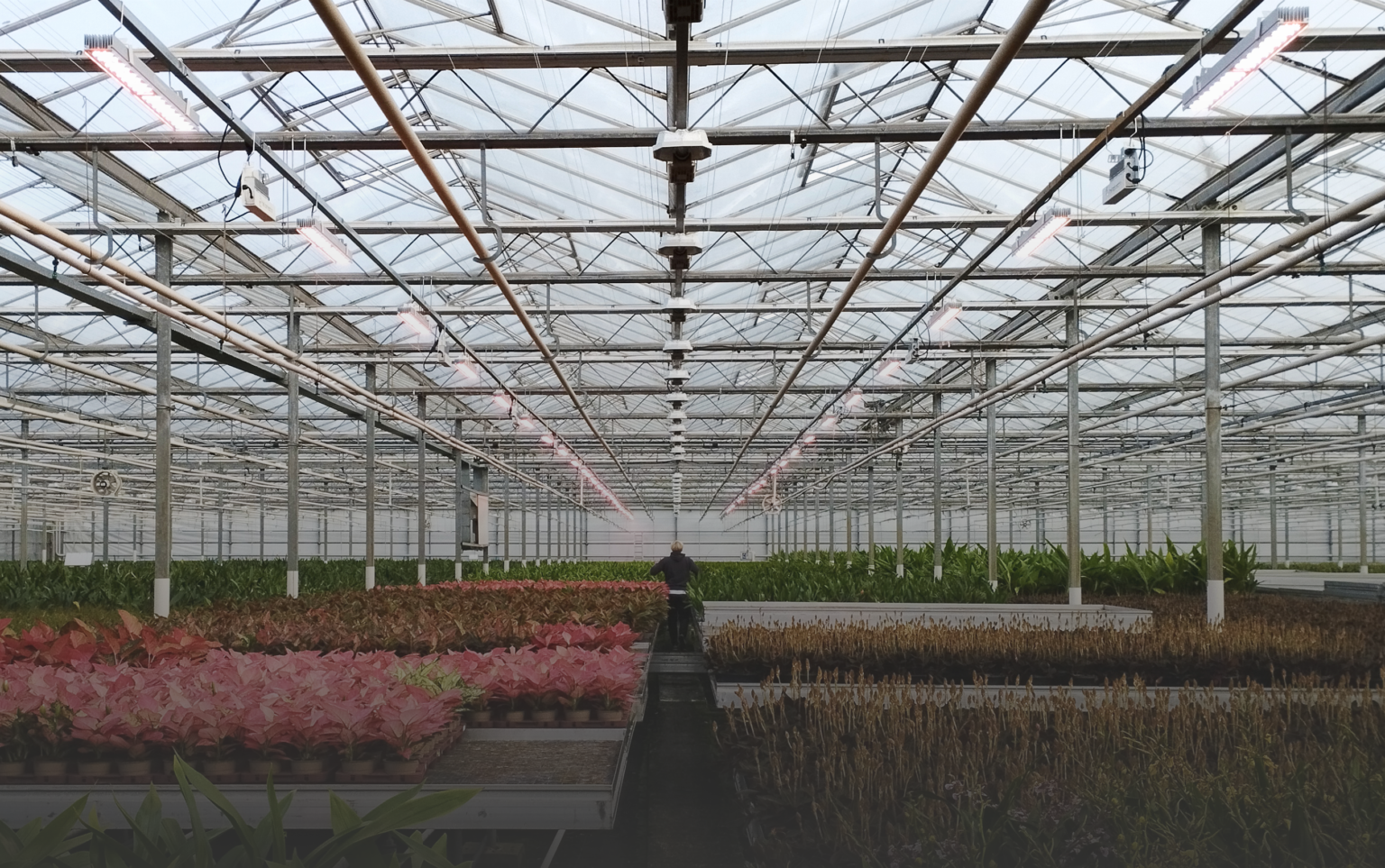 About Heliospectra - Heliospectra