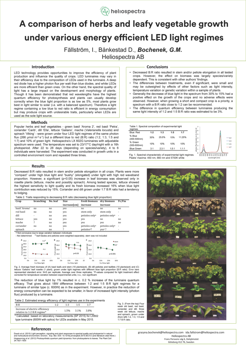 Poster - Herbs & Leafy vegetable