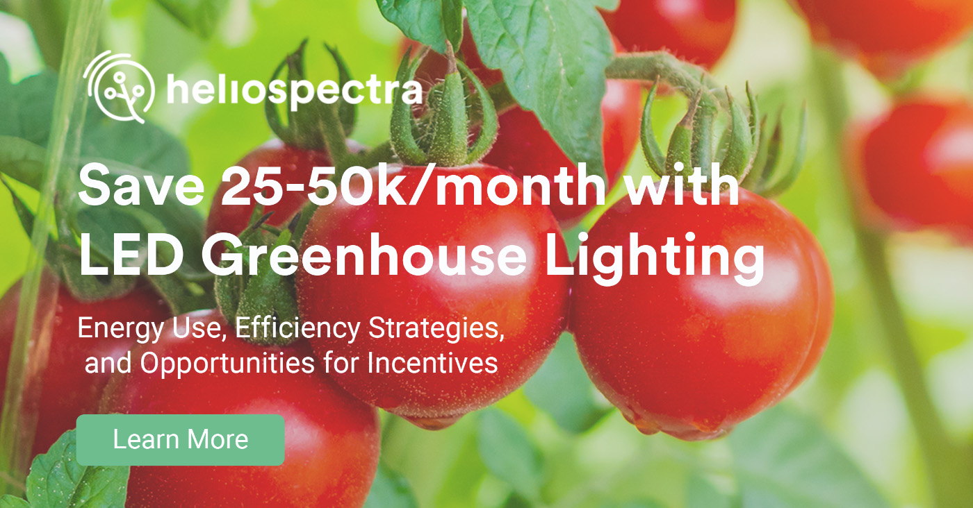 LED Rebates, Incentives & Cost Savings