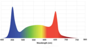 LED Spectrum design insights with Ida Fällström