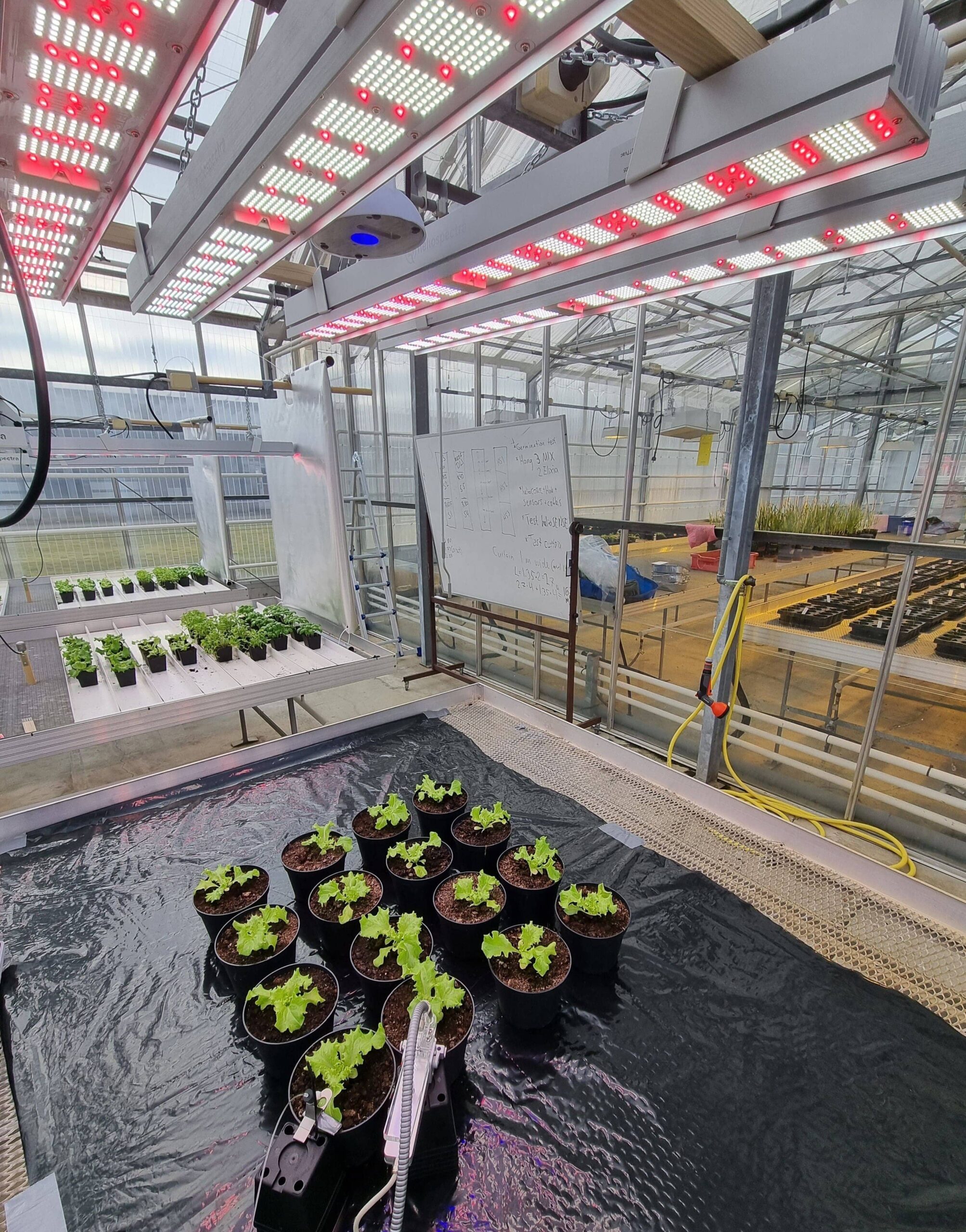 Developing the sensor technology of the future - EIP