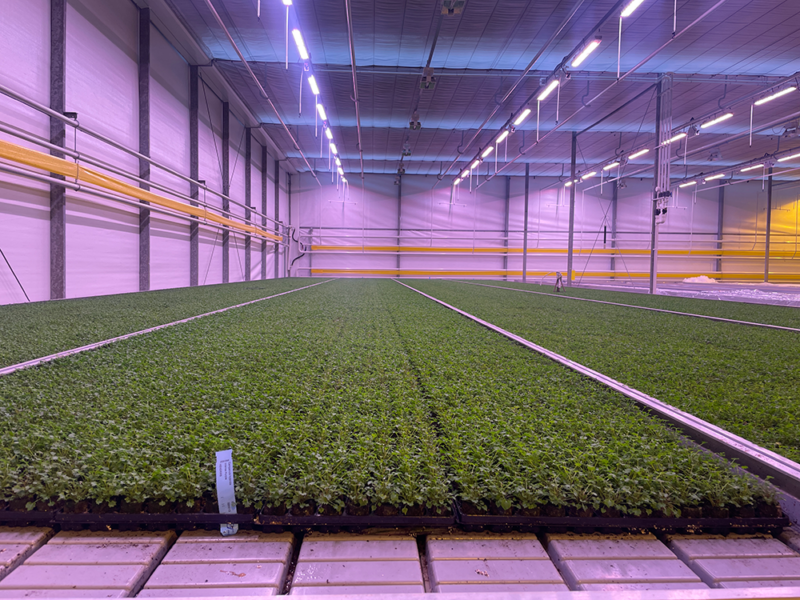 Case studies - Heliospectra