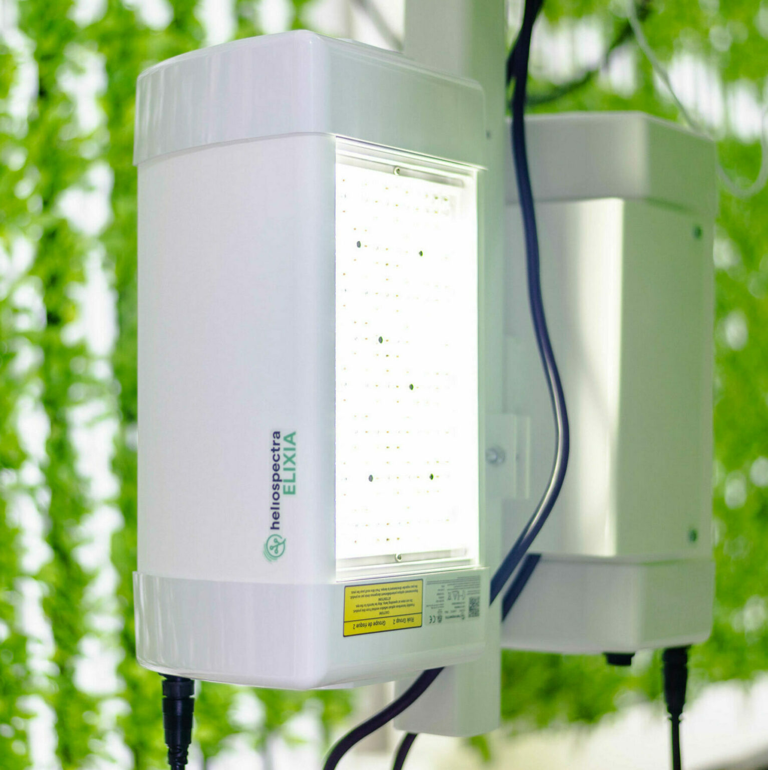 Pioneering Plant Growth with Advanced Lighting - Heliospectra