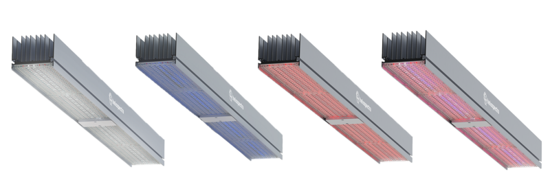 Smart LED light solutions for Greenhouse - Heliospectra