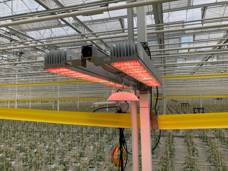 Smart LED light solutions for Greenhouse - Heliospectra